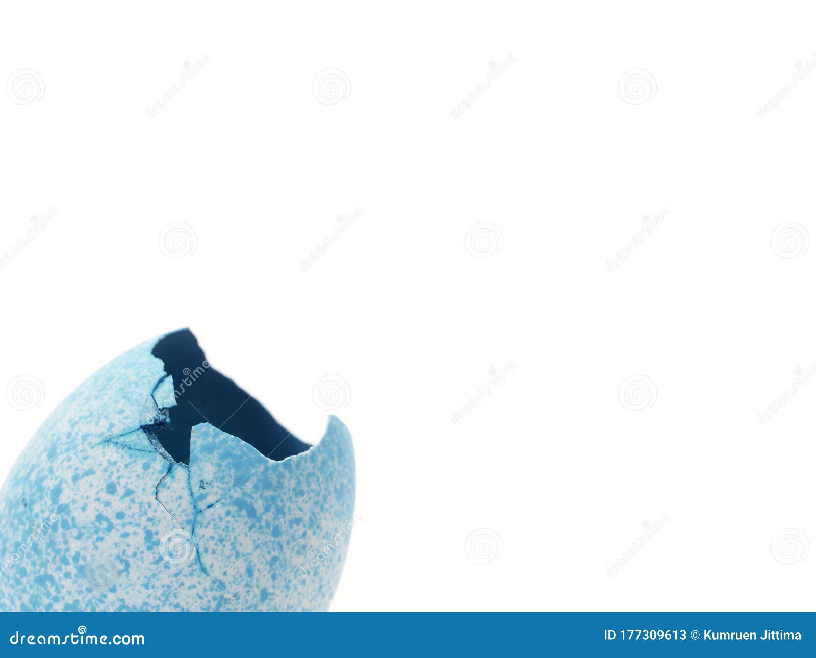 Easter Egg Cracked Open on White Stock Image - Image of animal, broken ...