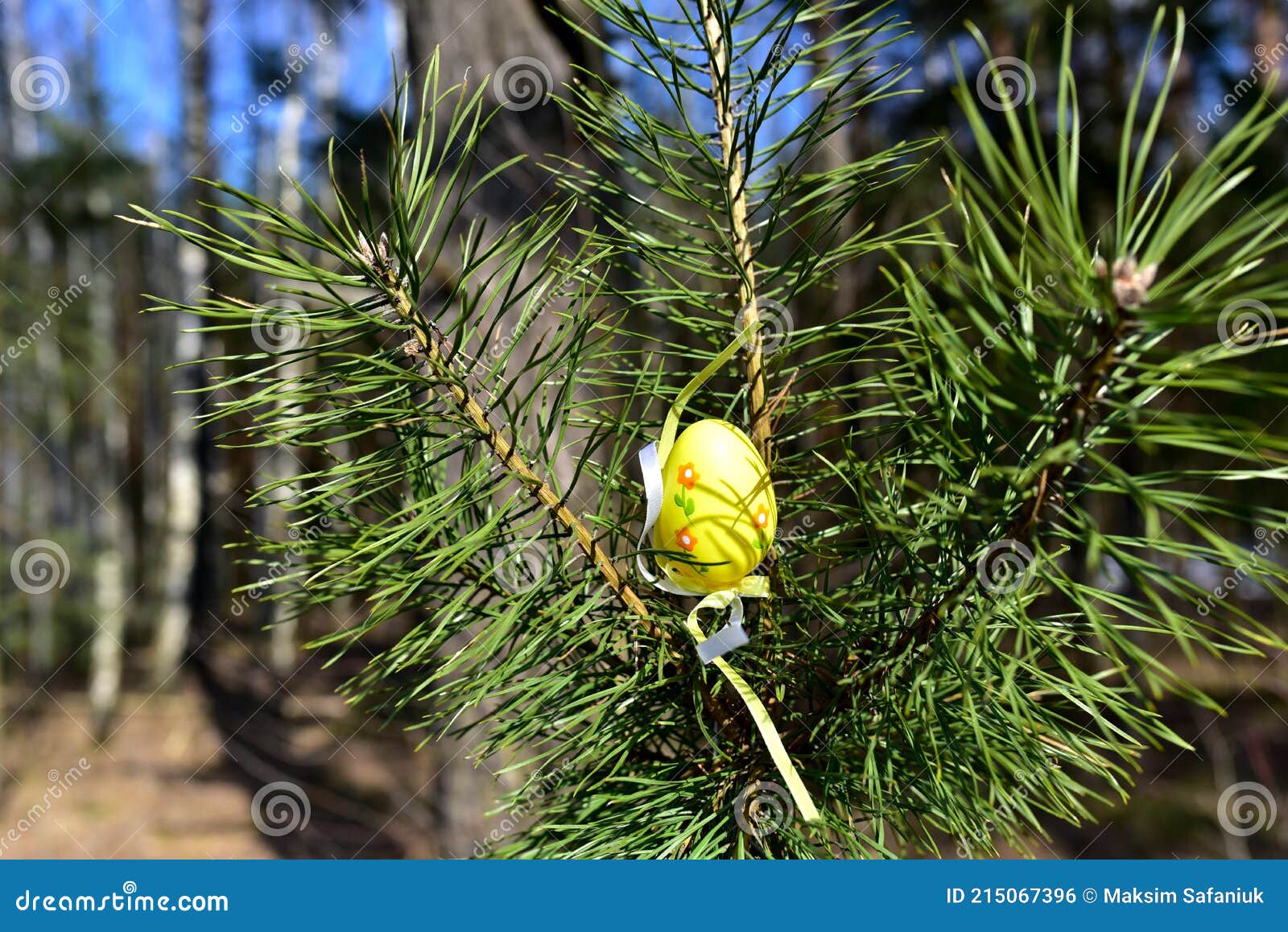 Easter Egg on Pine Branches. Egg Painted Yellow for Festive Table on ...