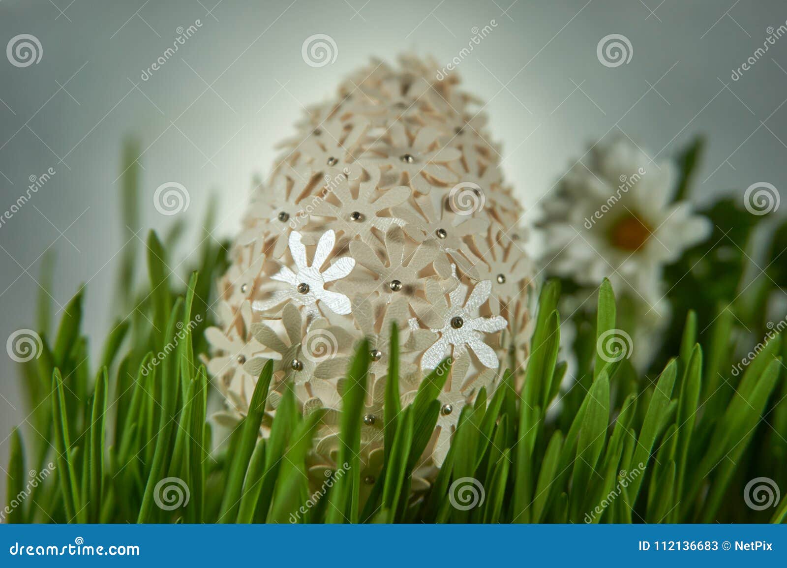 Easter Egg Placed between Frech Green Wheat Germs Stock Image - Image ...