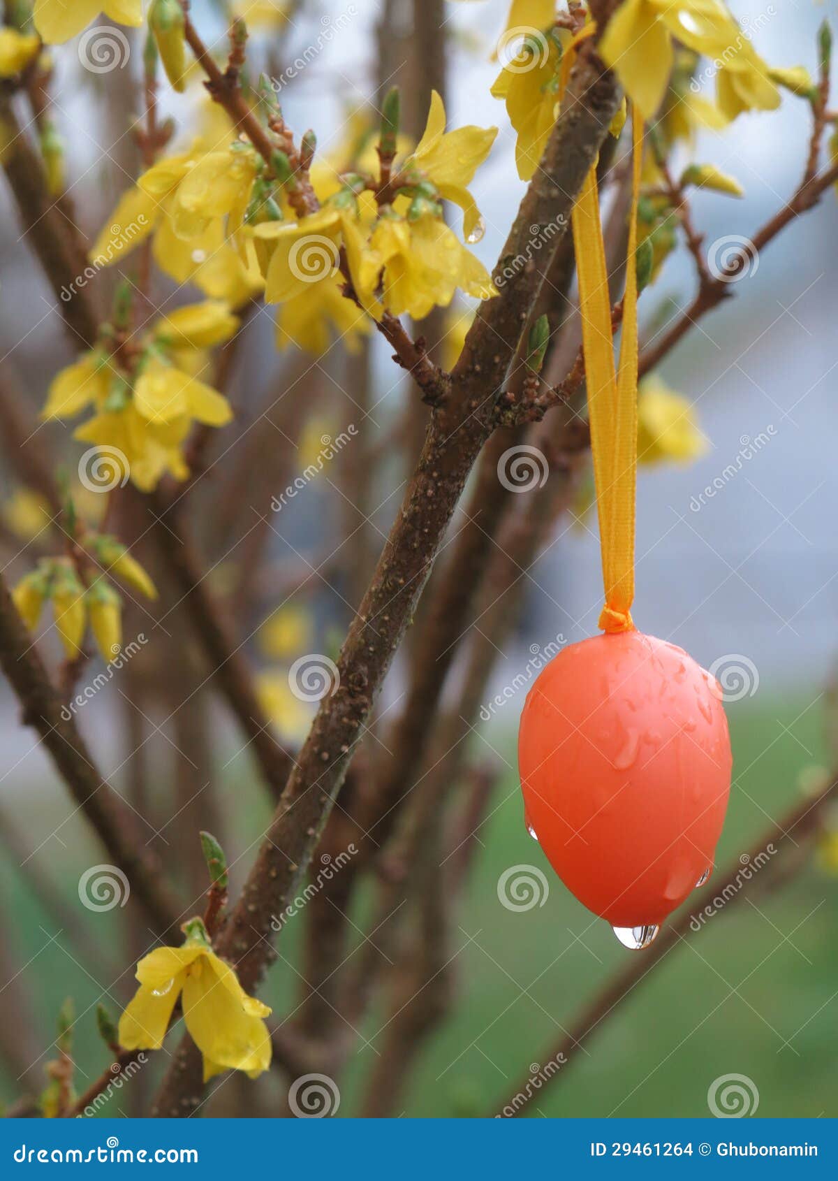 Easter egg rain stock photo. Image of season, decoration - 29461264