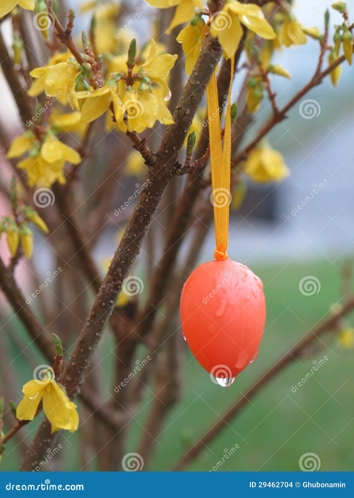 Easter egg rain stock photo. Image of flower, rain, gift - 29462704