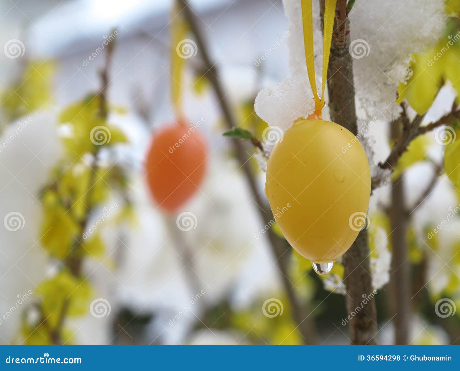 Easter egg rain stock photo. Image of raindrop, season - 36594298