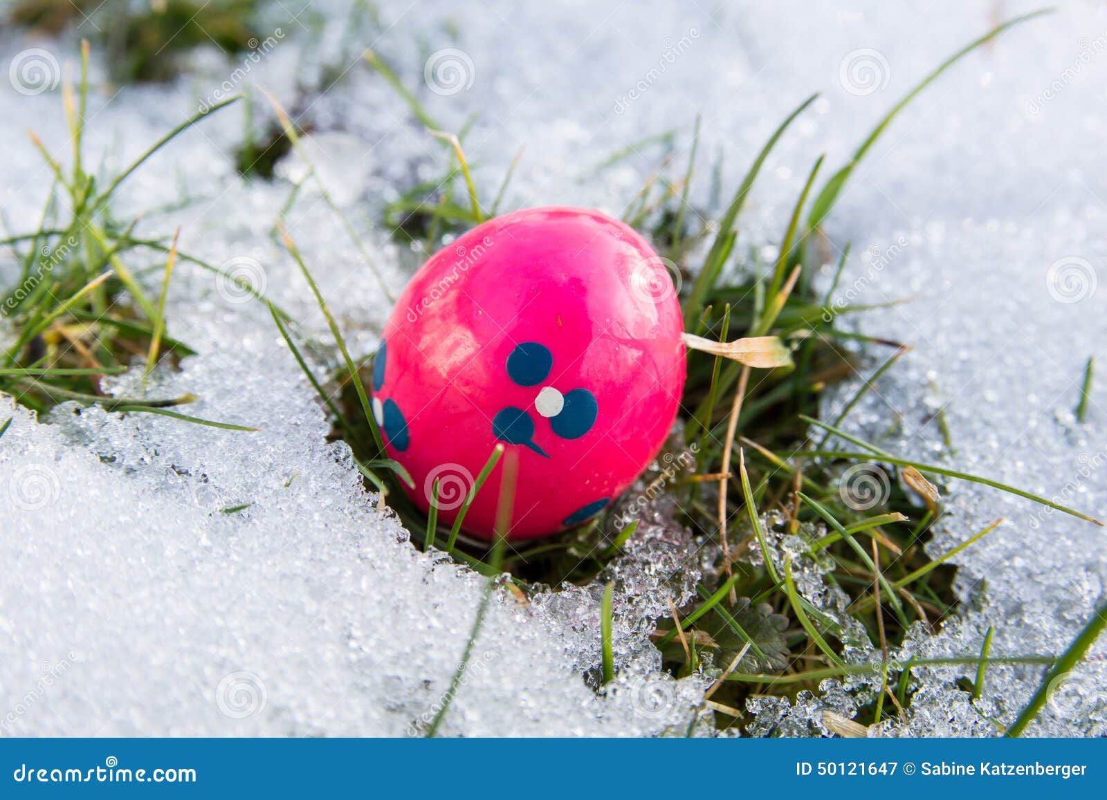 Easter egg in the snow stock image. Image of garden, shiny - 50121647