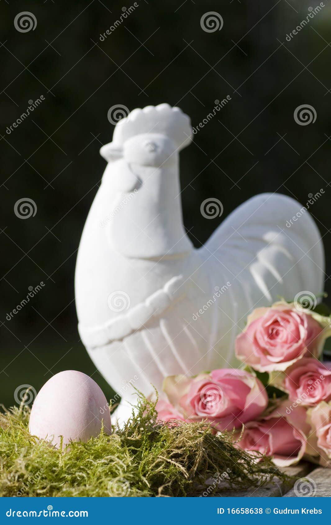 Easter Egg and a White Chicken Stock Photo - Image of white, moss: 16658638