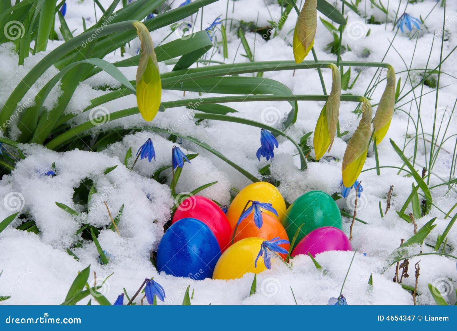 Easter eggs stock image. Image of snow, colored, grass - 4654347