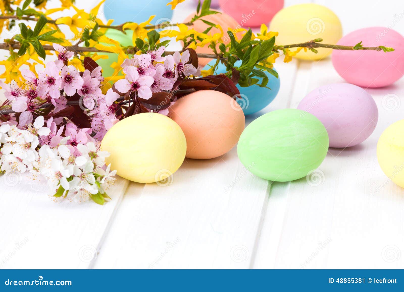 Easter Eggs with Blooming Branch Stock Image - Image of revival ...