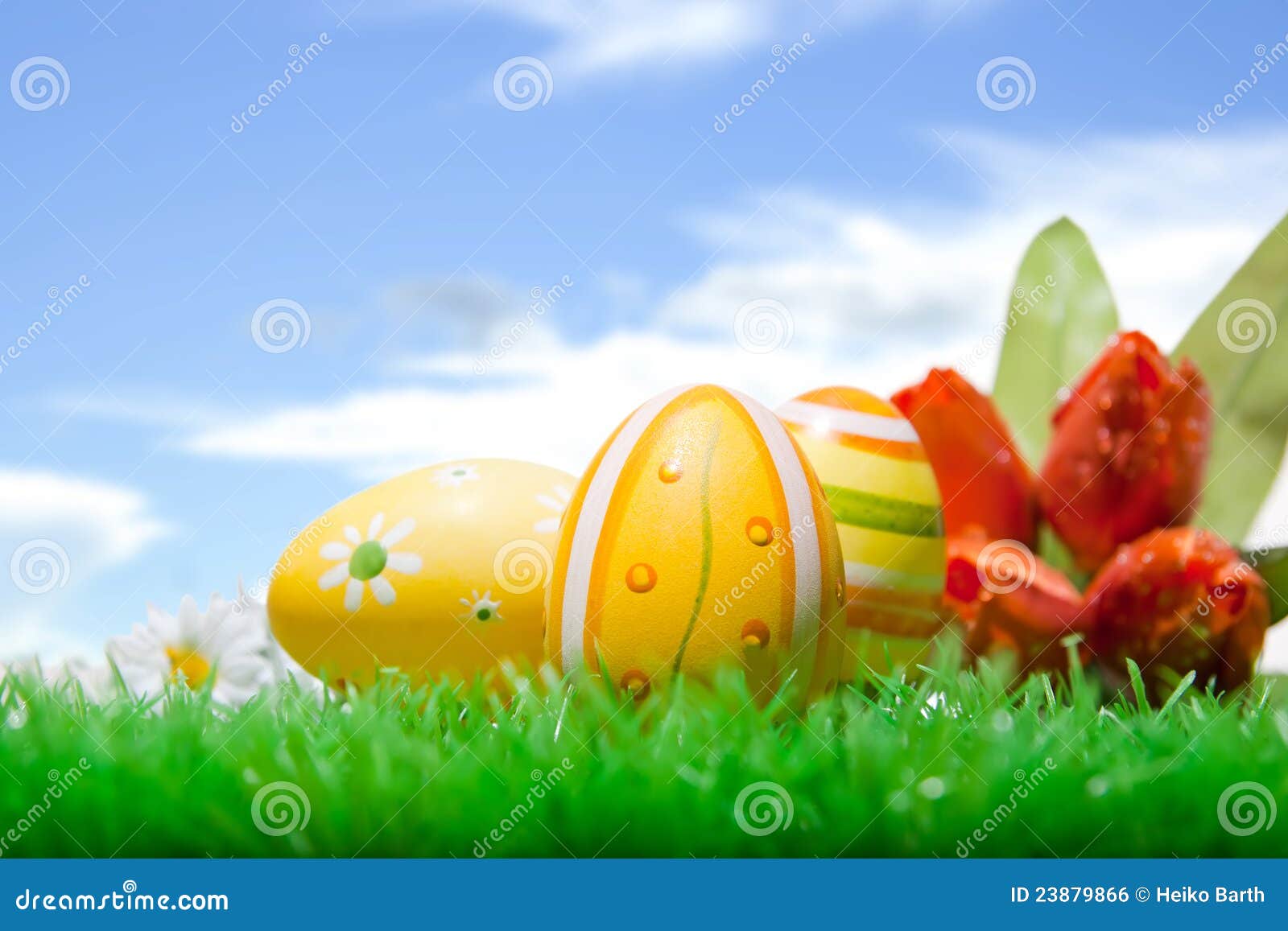 Easter eggs in blue sky stock photo. Image of grass, lawn - 23879866