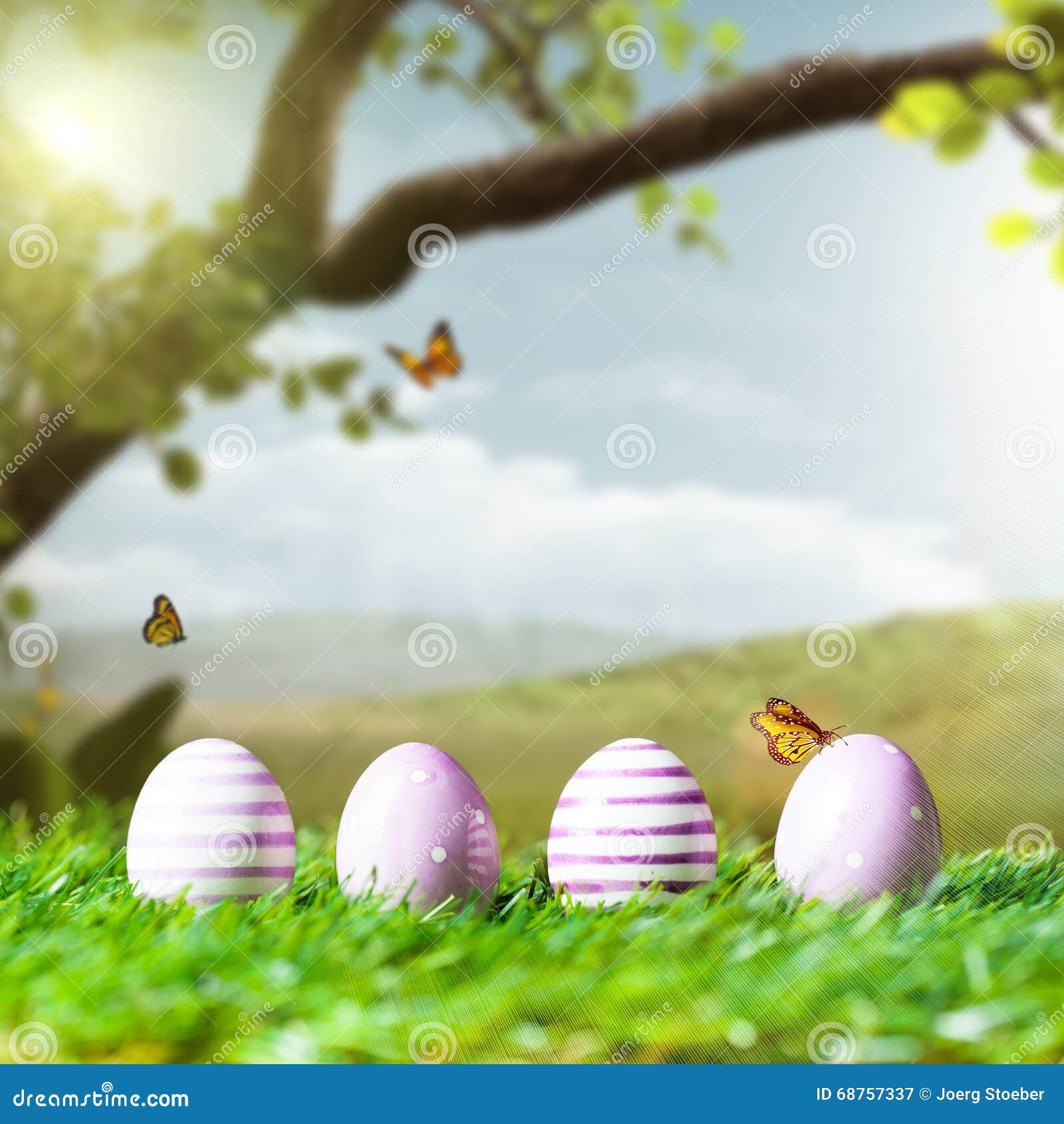 Easter Eggs with Butterflies Stock Image - Image of hillside, eggs ...