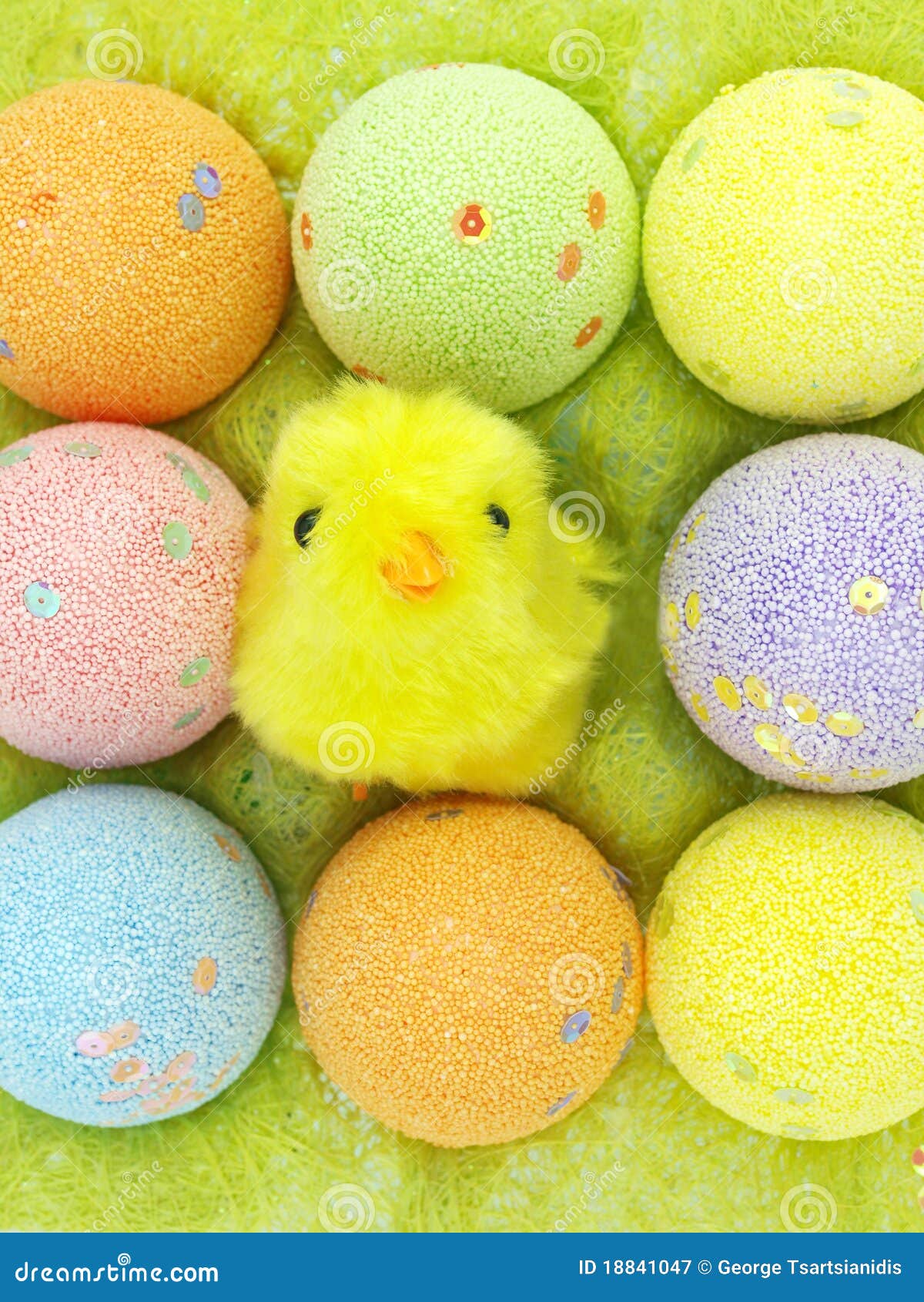Easter Eggs and a Chicken in an Eggs Case Stock Image - Image of ...