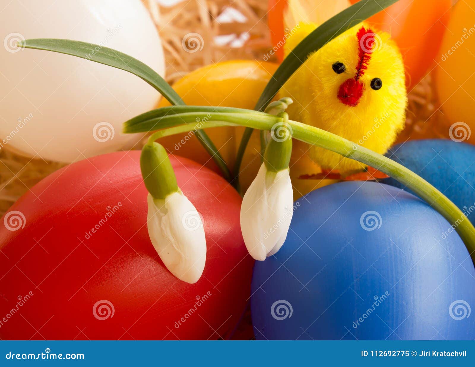 Easter Eggs Chicken and First Spring Snowdrops Stock Image - Image of ...