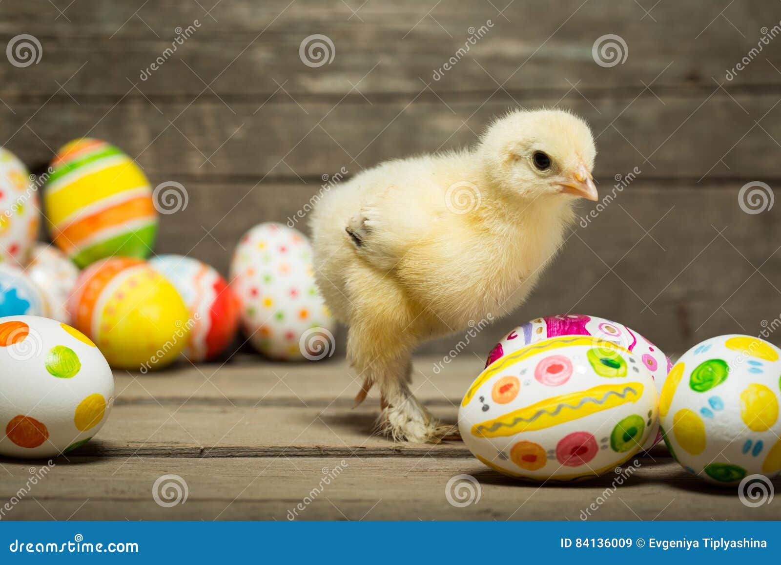 Easter eggs and chicken stock image. Image of table, basket - 84136009