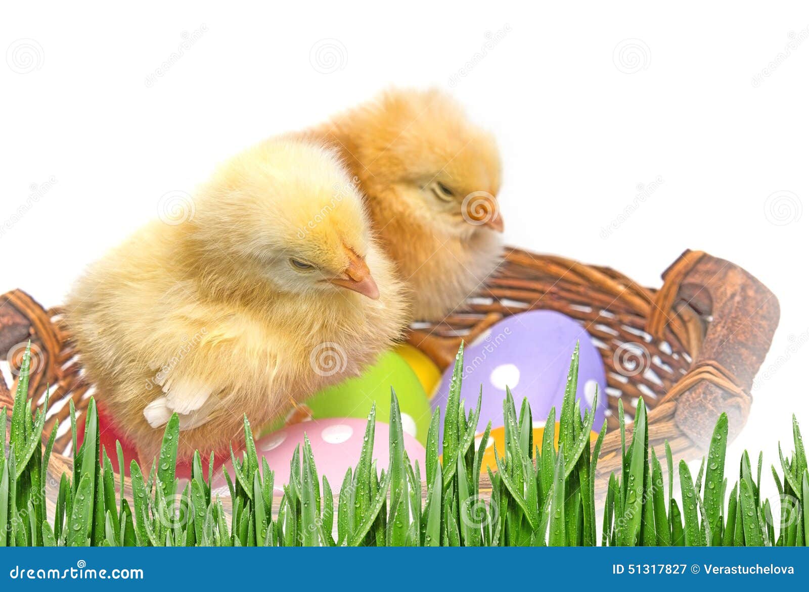 Easter eggs and chickens stock image. Image of sweet - 51317827