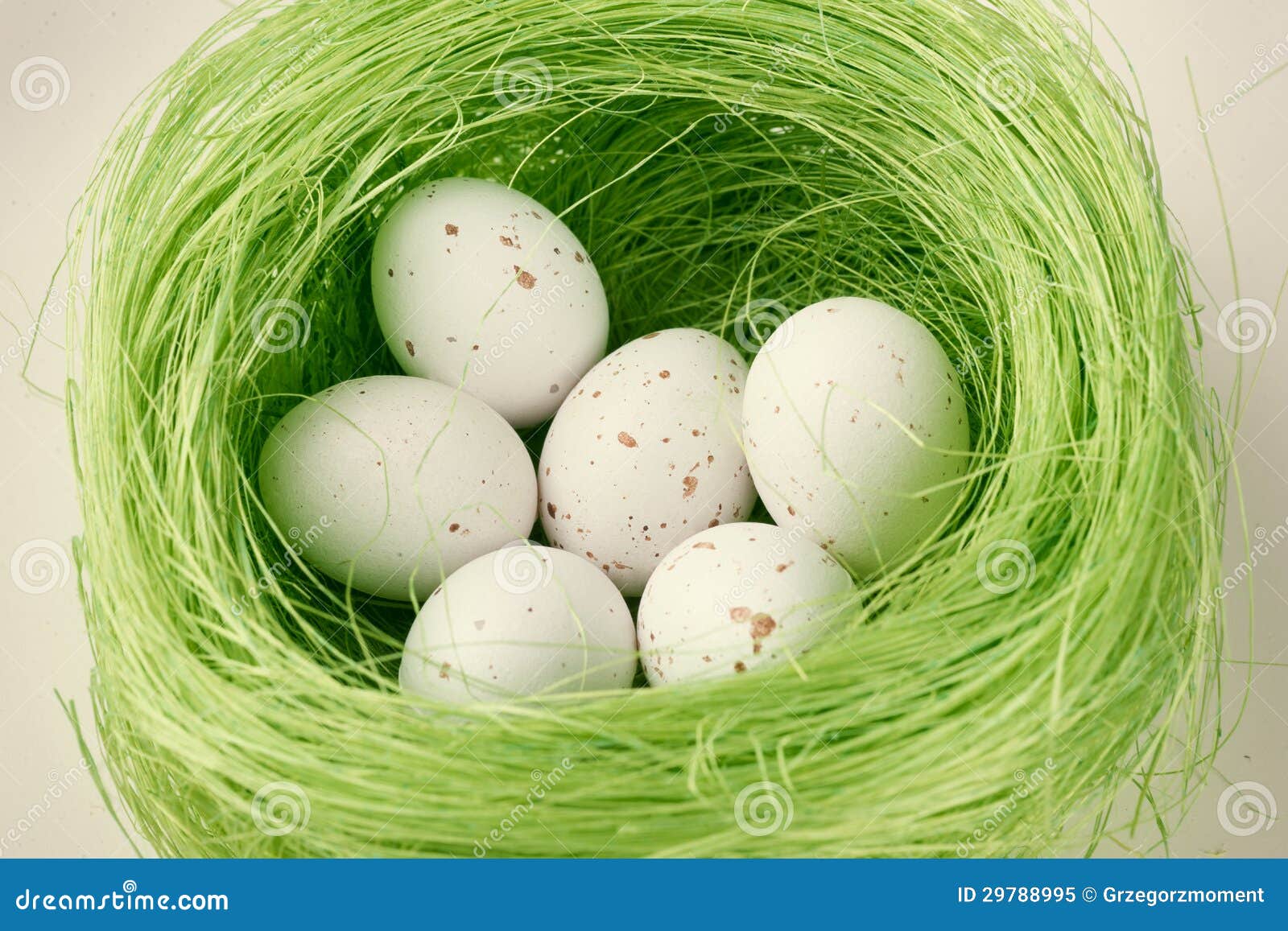 Easter Eggs in Circle Chest Stock Image - Image of cute, soft: 29788995
