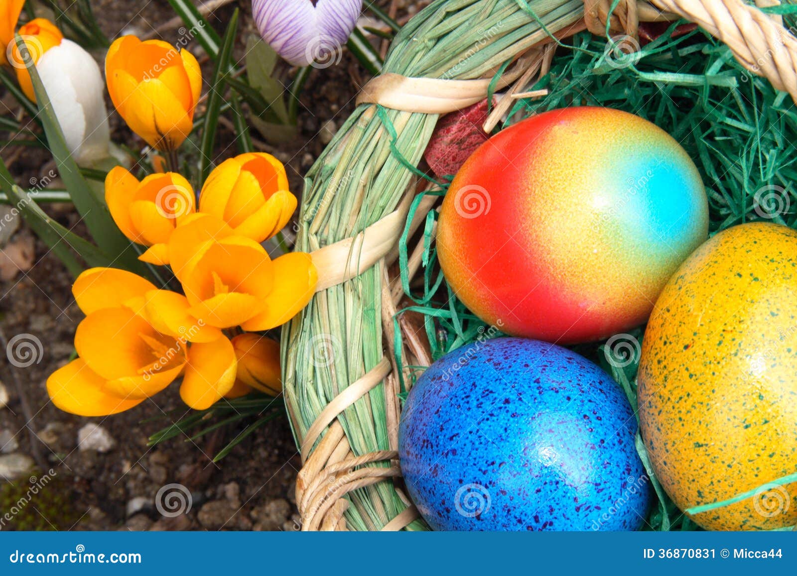 Easter eggs and crocus stock image. Image of petal, food - 36870831