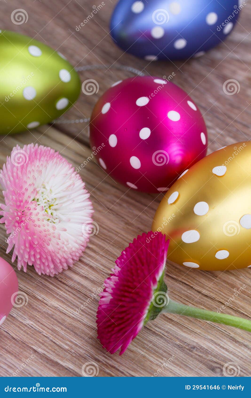 Easter eggs with daisies stock photo. Image of color - 29541646