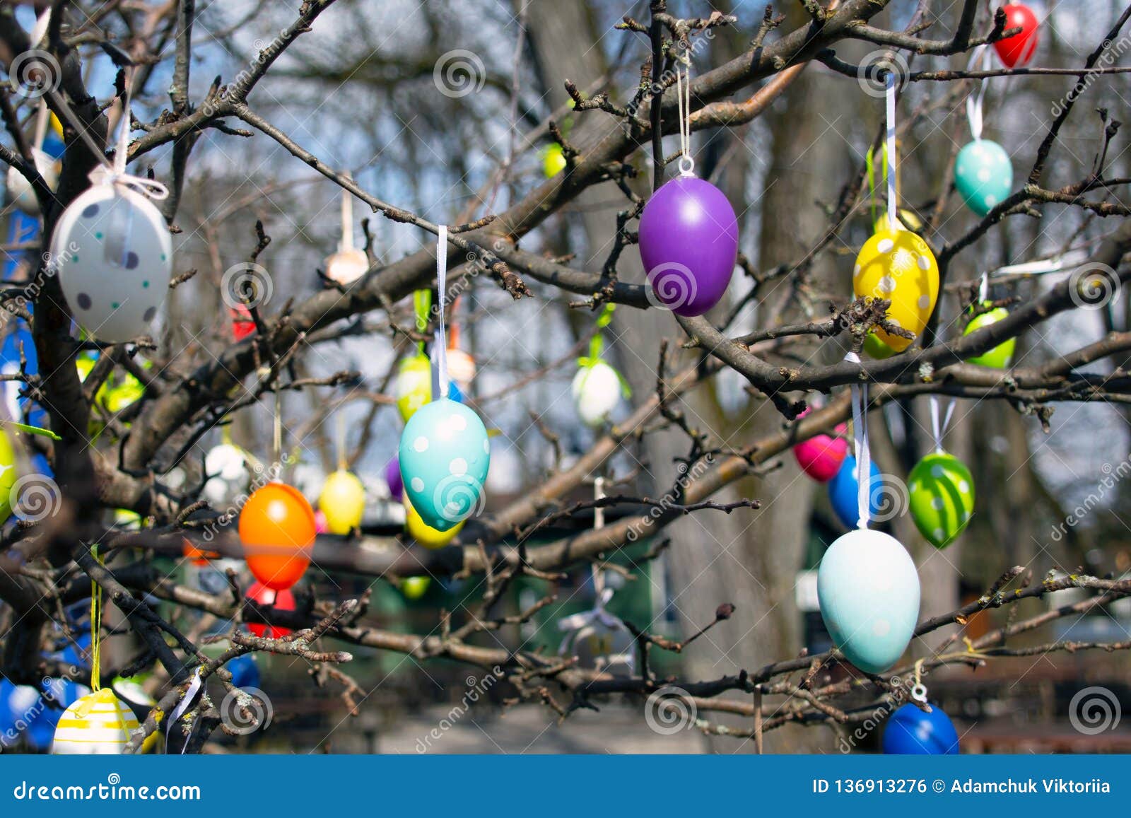 Easter Eggs Decorated on Spring Tree Stock Photo - Image of garden ...