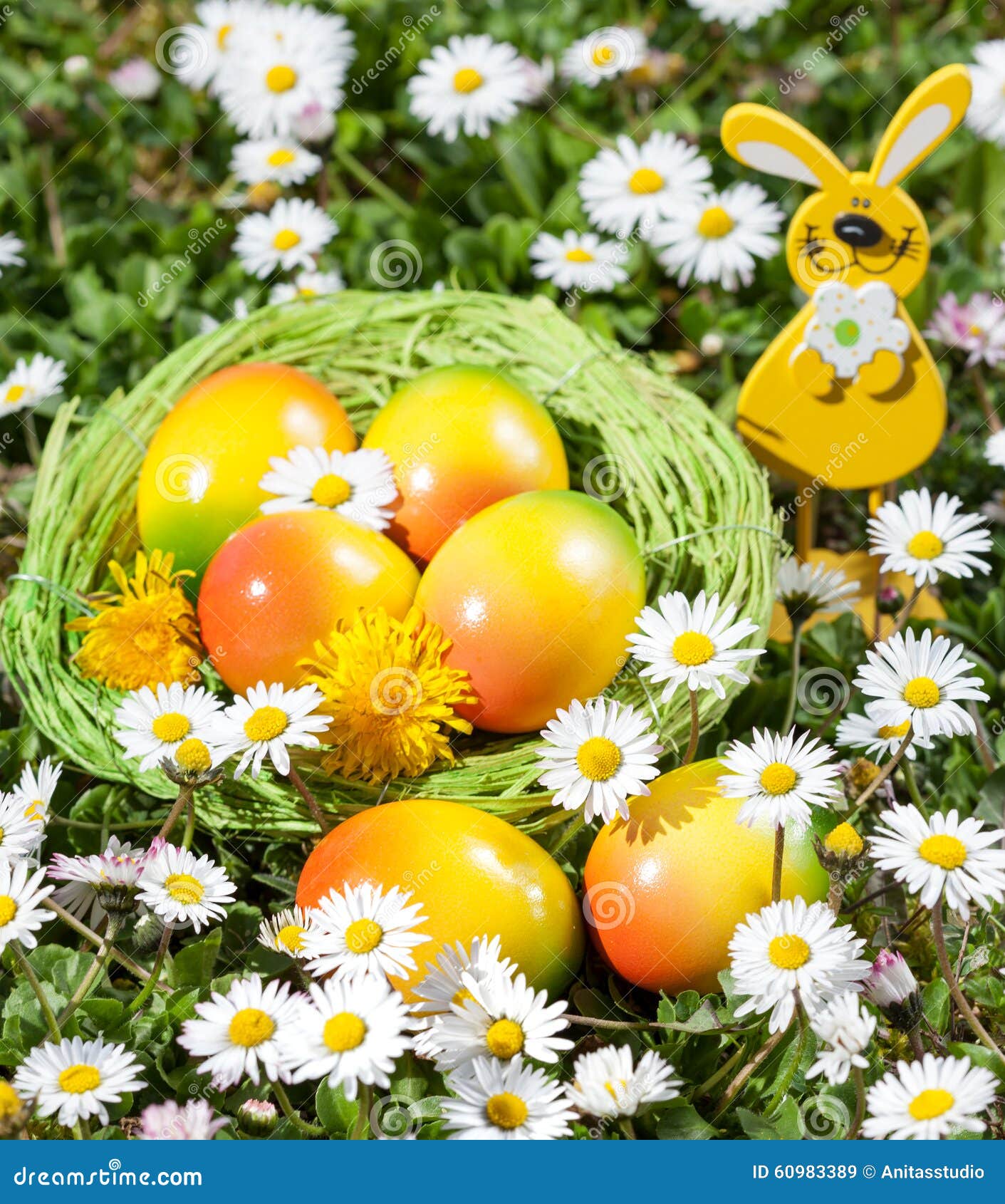 Easter Eggs Decoration on Flowers Field Stock Image - Image of life ...