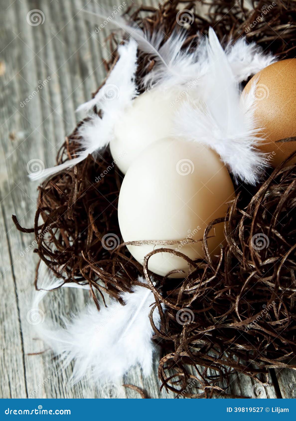Easter Eggs with Delicate Feathers in a Nest Stock Image - Image of ...