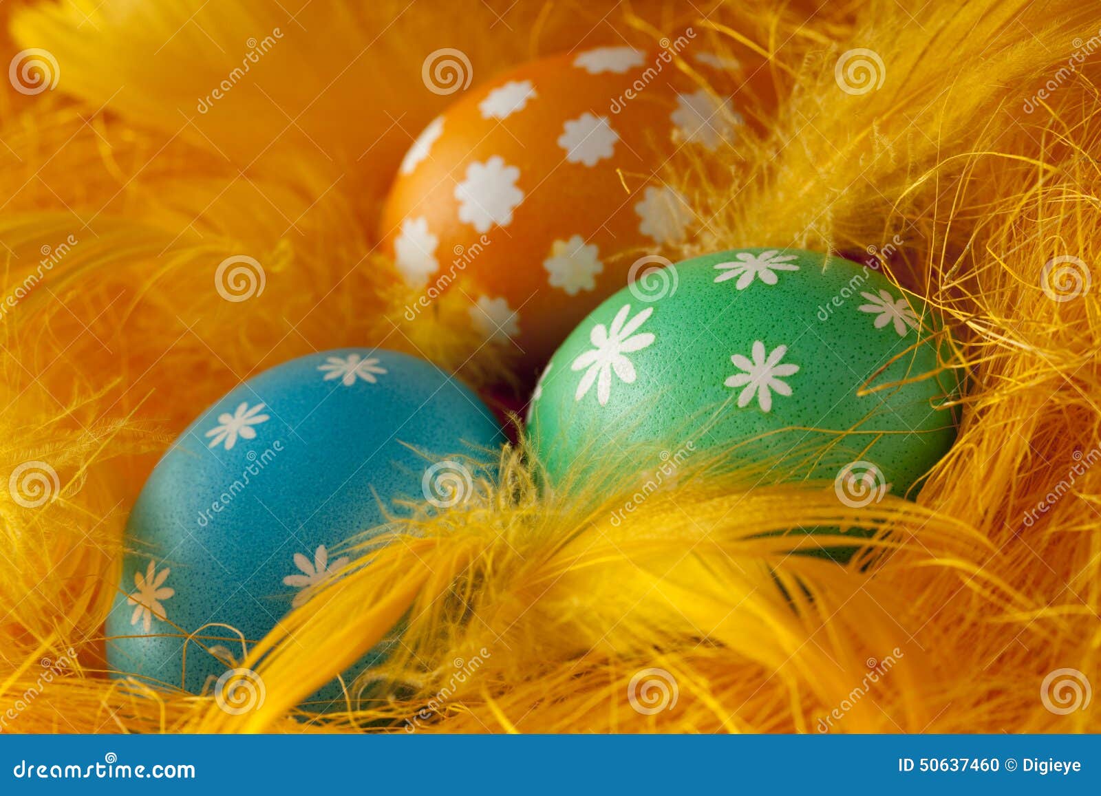Easter eggs and feathers stock photo. Image of plank - 50637460