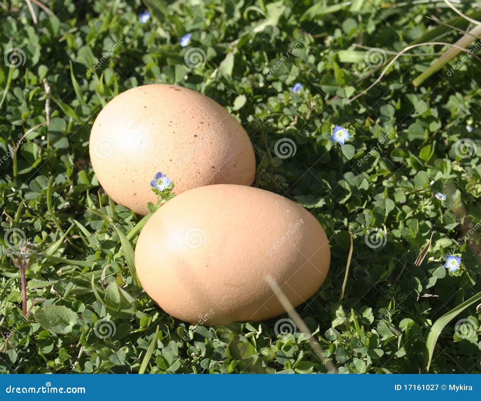 Easter Eggs on grass stock image. Image of group, design - 17161027