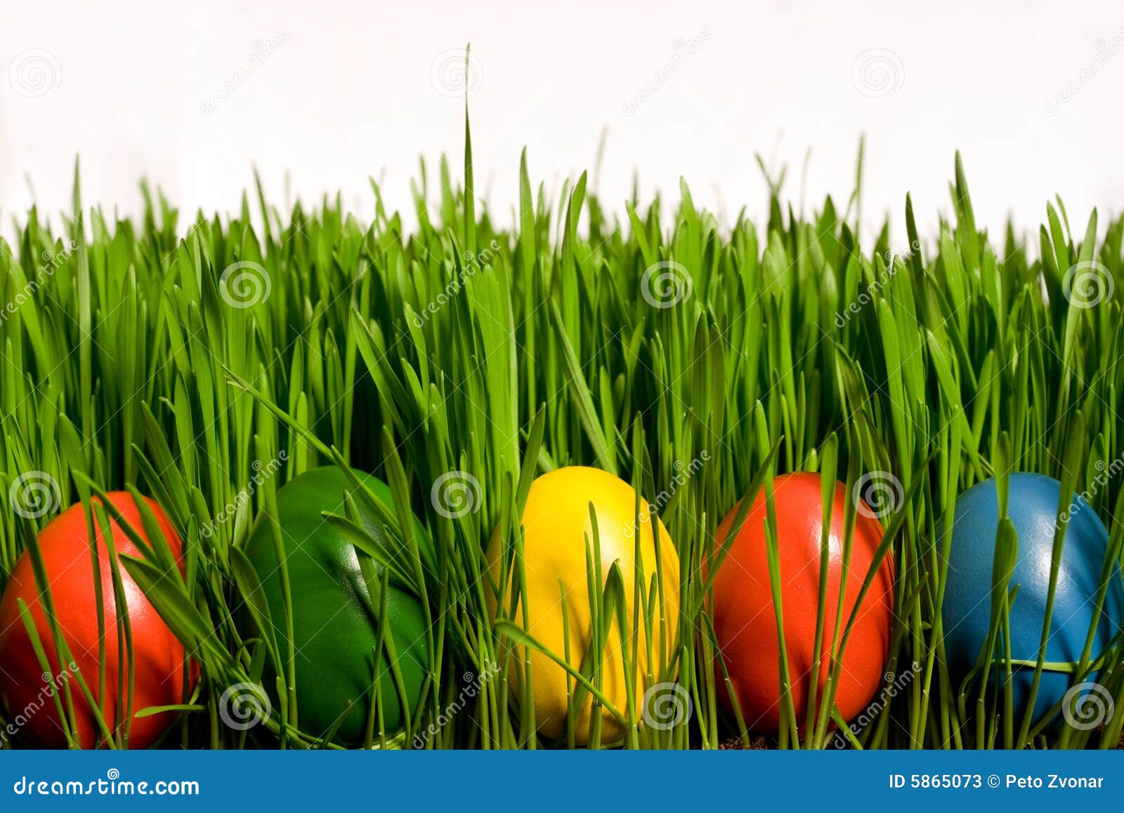 Easter Eggs in Grass stock image. Image of colors, detail - 5865073
