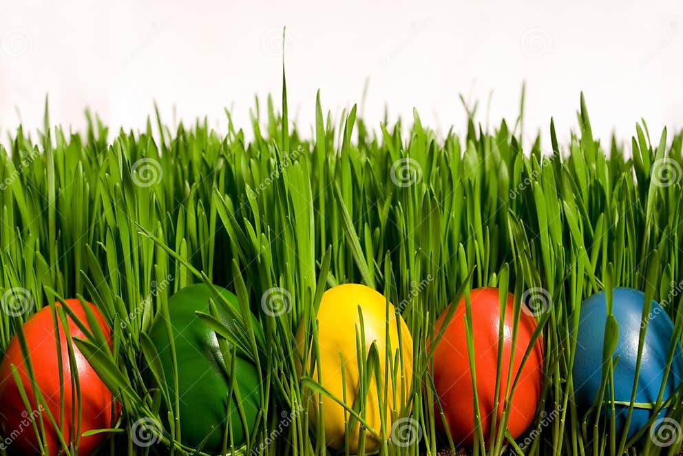 Easter Eggs in Grass stock image. Image of colors, detail - 5865073