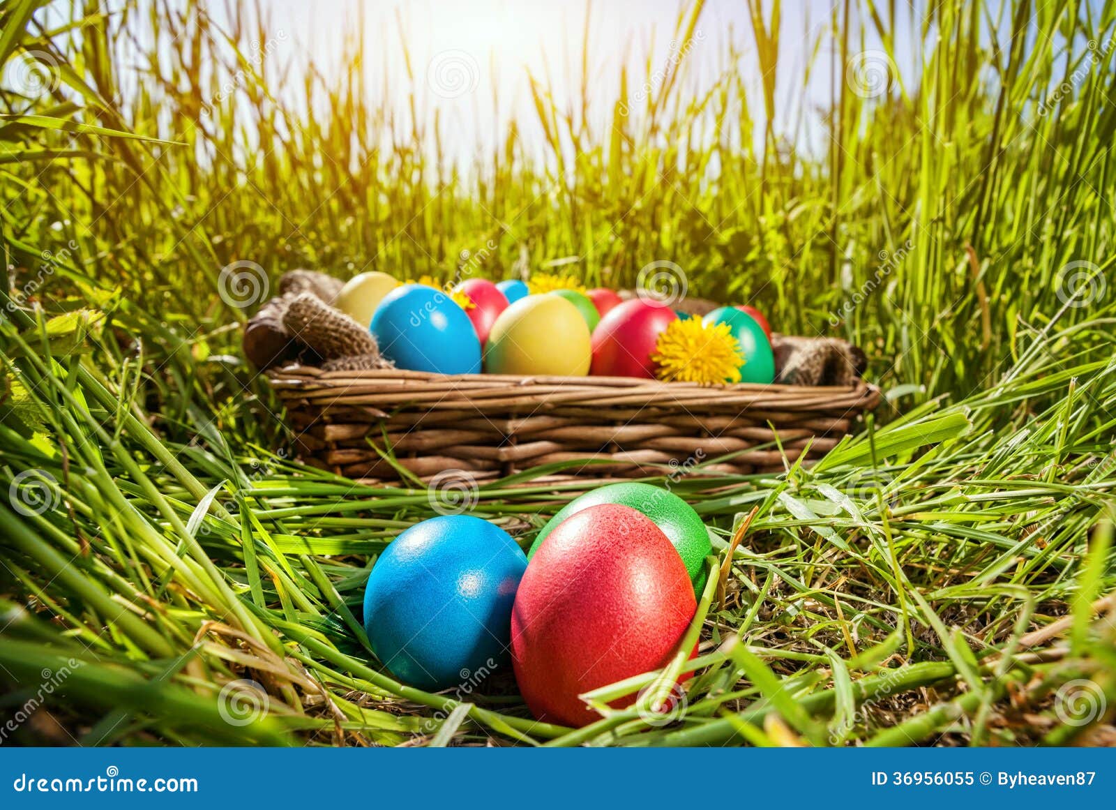 Easter eggs on the grass stock image. Image of celebrate - 36956055