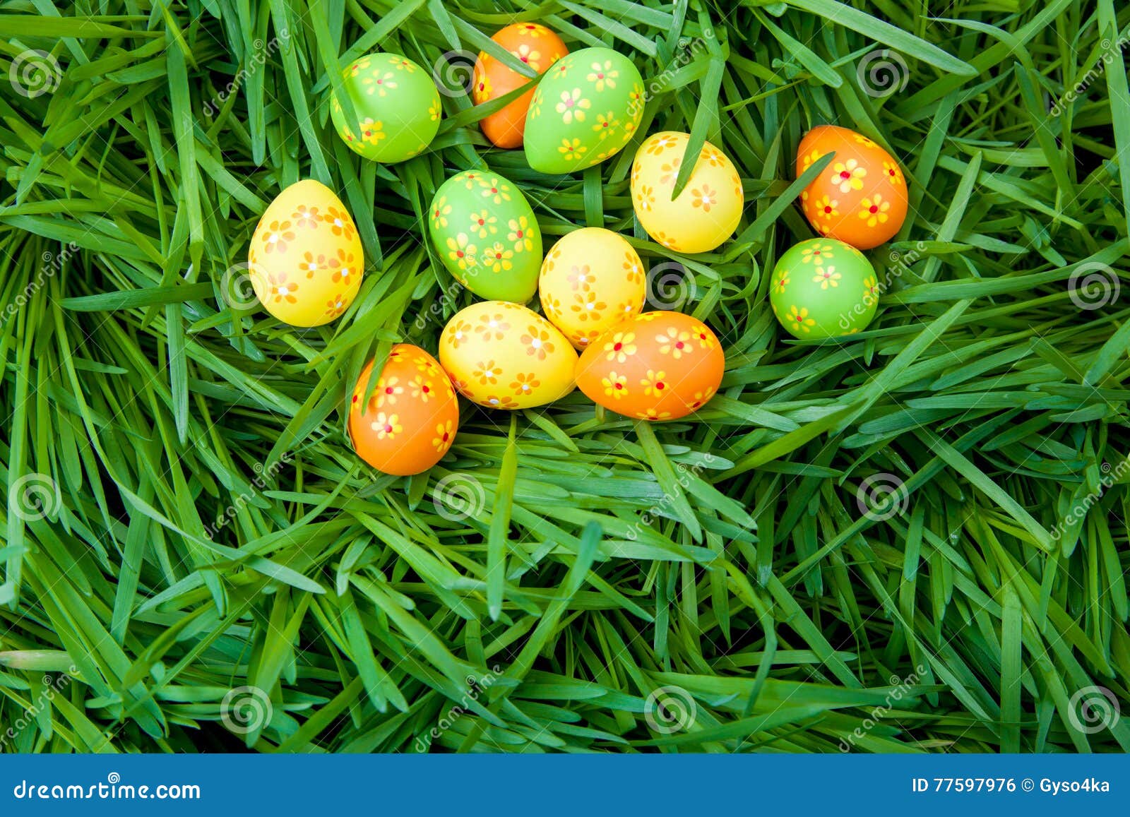 Easter eggs on the grass stock photo. Image of backgrounds - 77597976