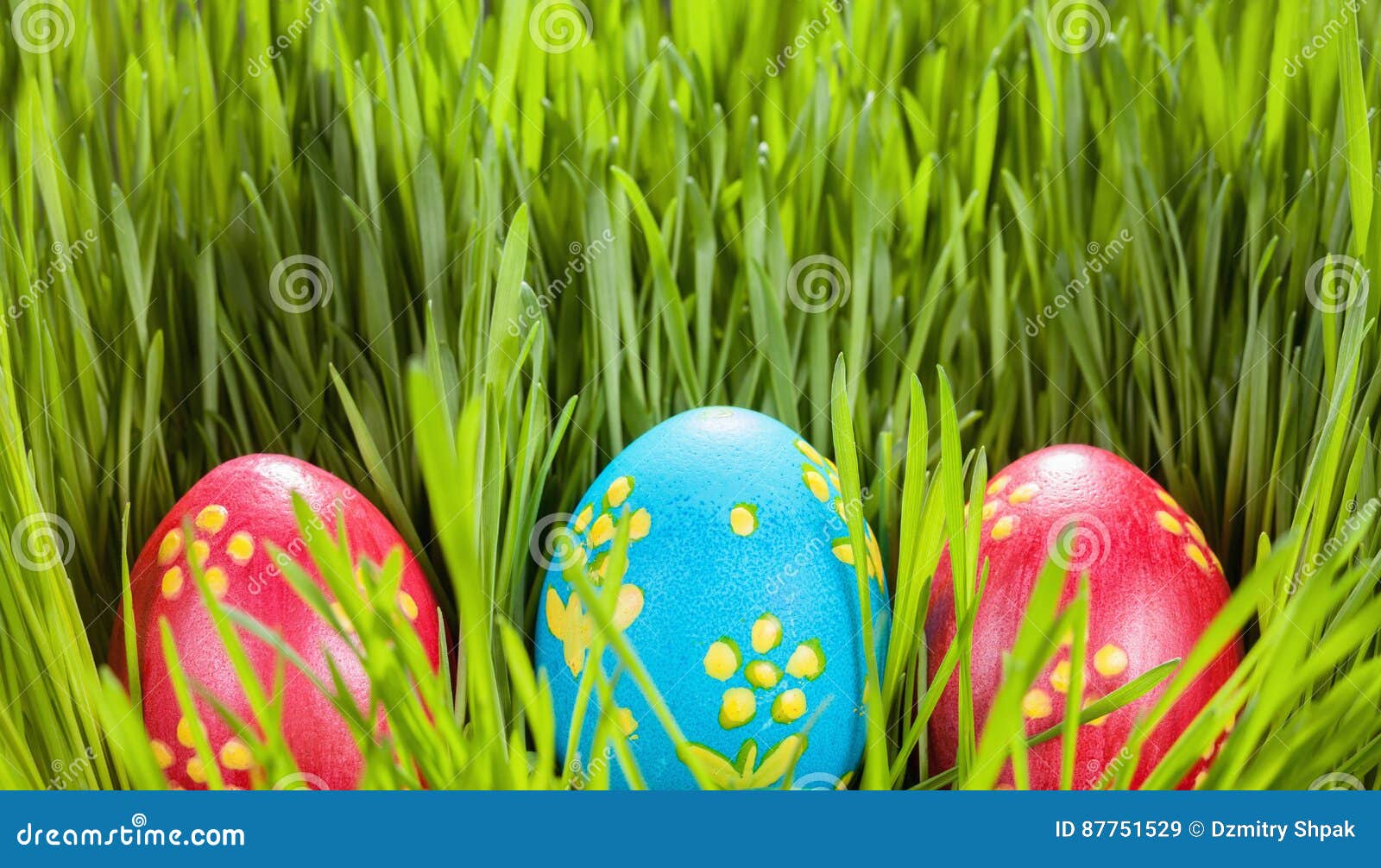 Easter Eggs on Green Grass. Spring Concept. Stock Image - Image of ...