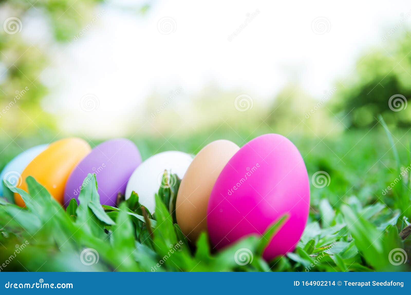 Easter Eggs on Green Grass. Spring Holidays Concept Stock Photo - Image ...
