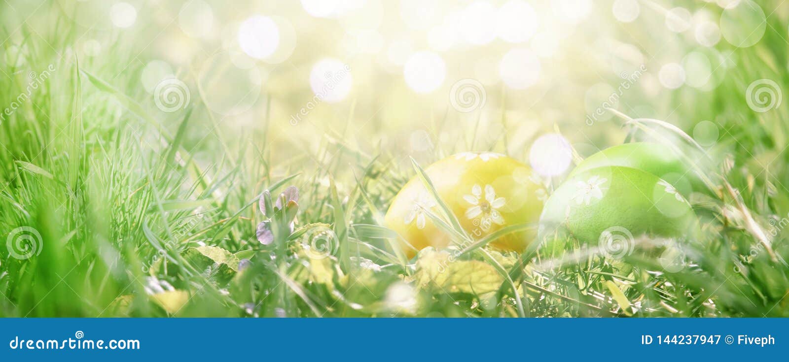 Easter Eggs in Green Grass, Spring Nature Border Background with Place ...