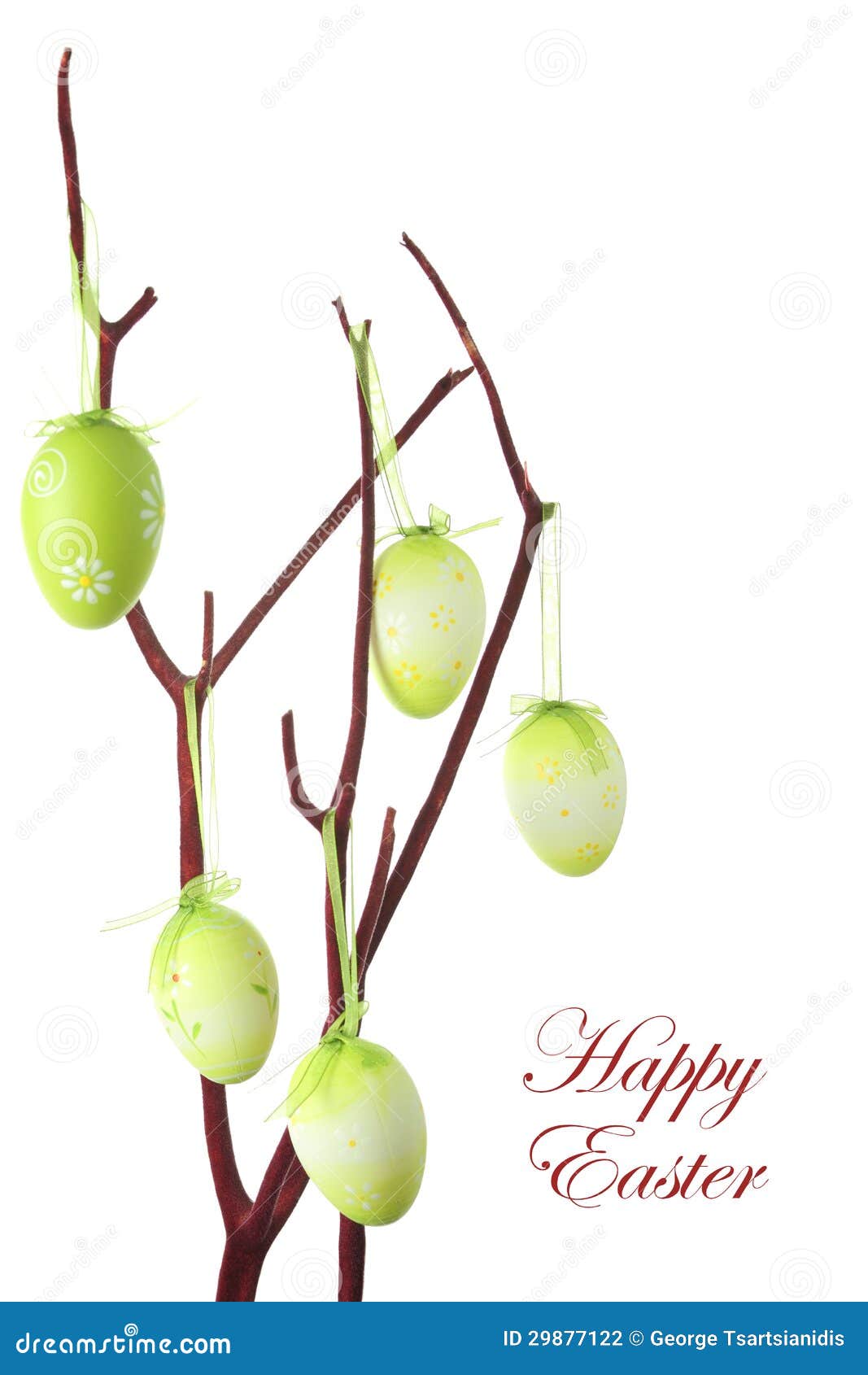 Easter eggs on a branch stock photo. Image of isolated - 29877122