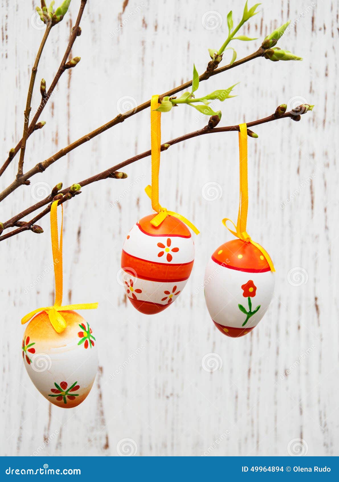 Easter Eggs Hanging on a Branch Stock Photo - Image of color, celebrate ...
