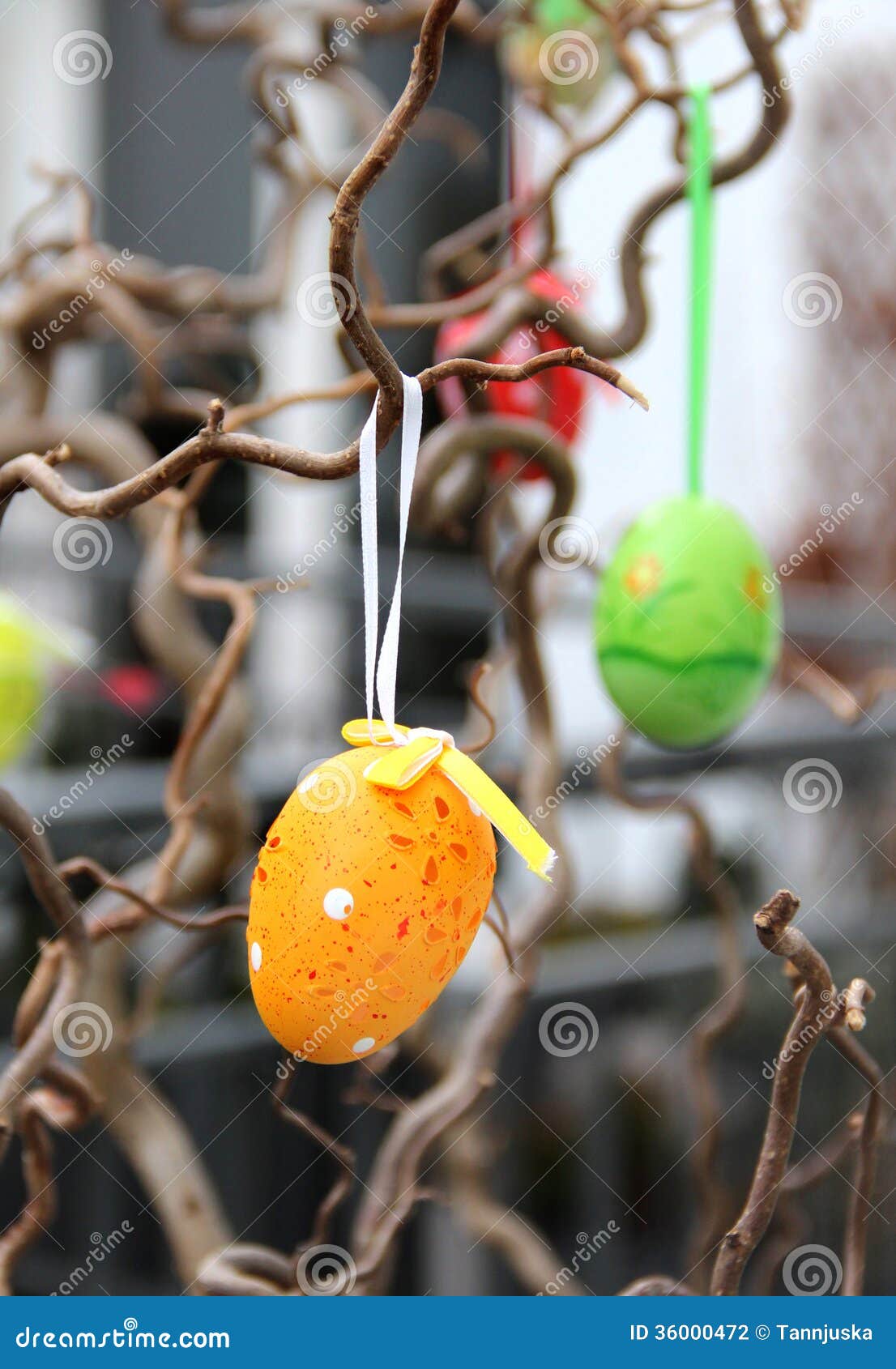 Easter Eggs Hanging on the Tree Stock Photo - Image of handmade ...
