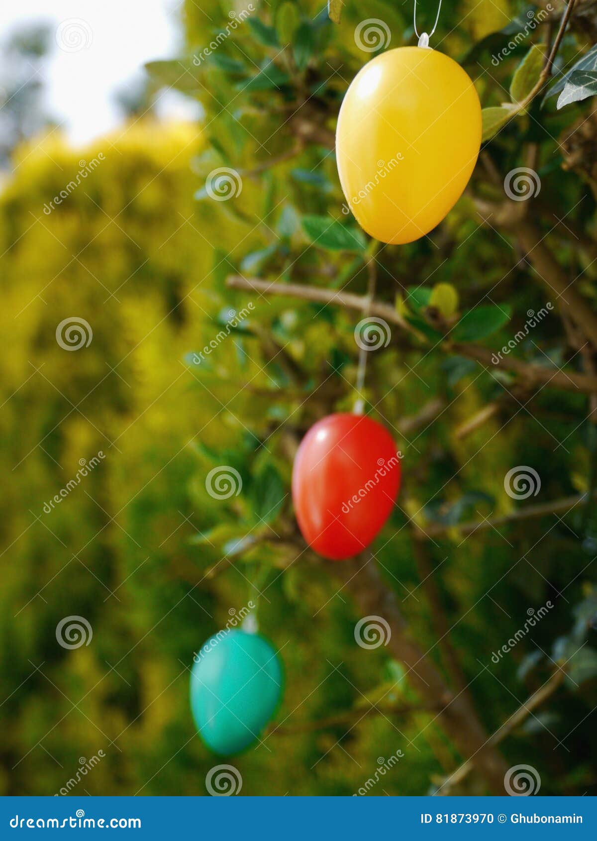 Easter Eggs Hanging on a Tree Stock Photo - Image of beauty, tree: 81873970