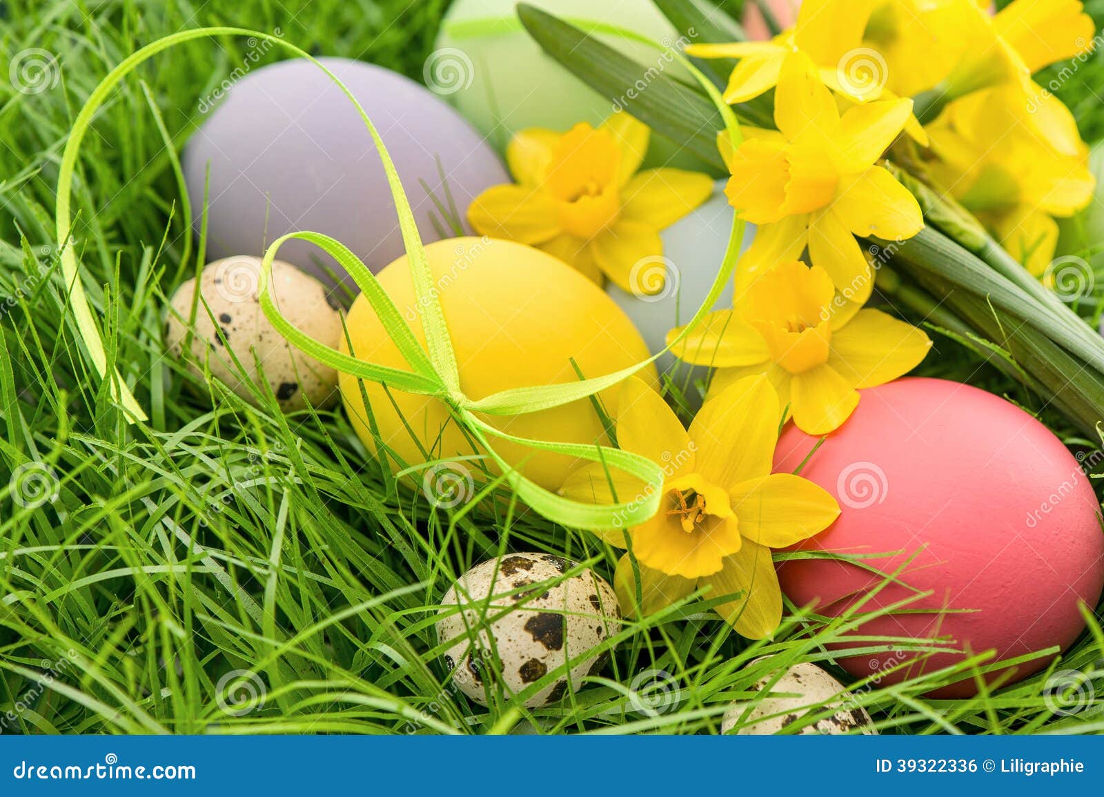 Easter Eggs and Narcissus Flowers in Green Grass Stock Photo - Image of ...