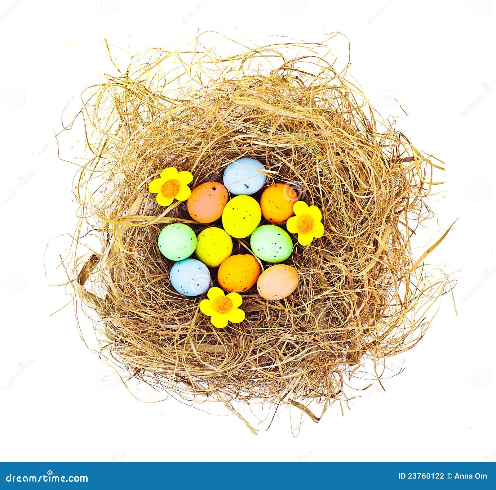 Easter eggs in the nest stock photo. Image of design - 23760122