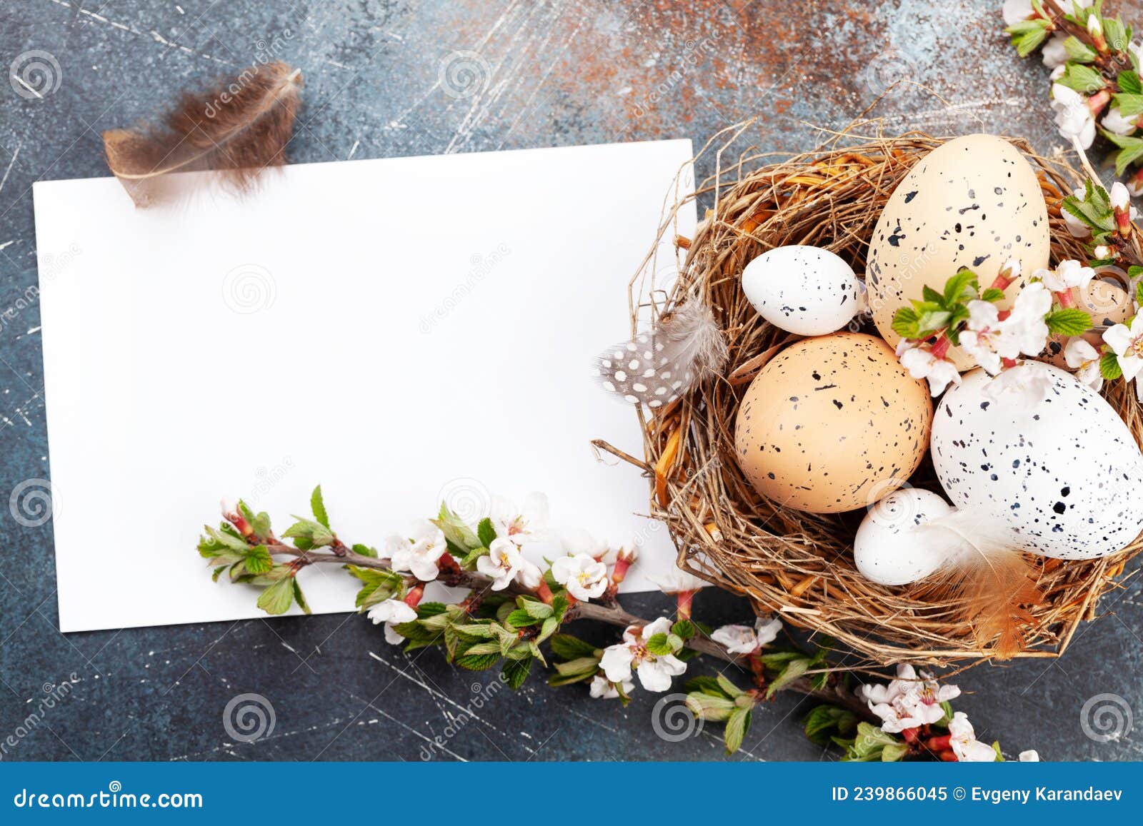 Easter Eggs and Cherry Blossom Stock Image - Image of happy, decoration ...
