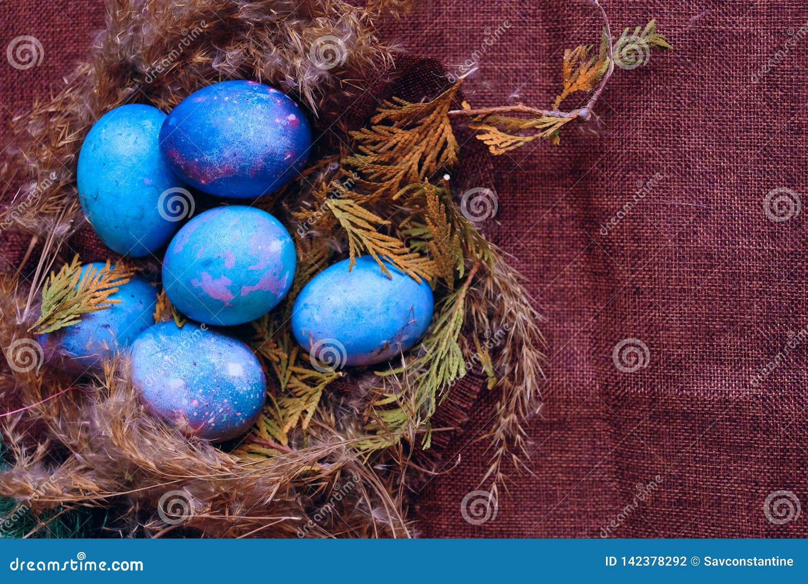 Easter eggs in the nest stock photo. Image of astronomy - 142378292