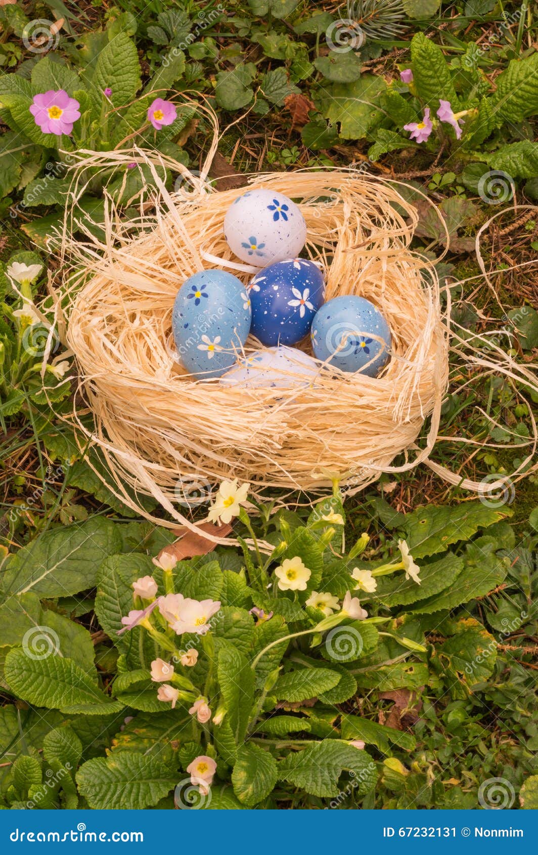 Easter Eggs in a Nest at Spring Flowers Field Stock Image - Image of ...