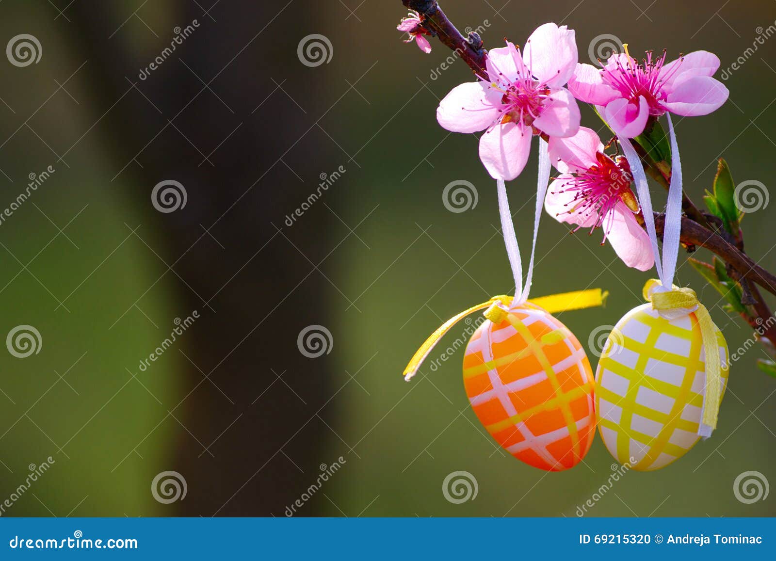 Easter Eggs in Orchard stock photo. Image of religion - 69215320
