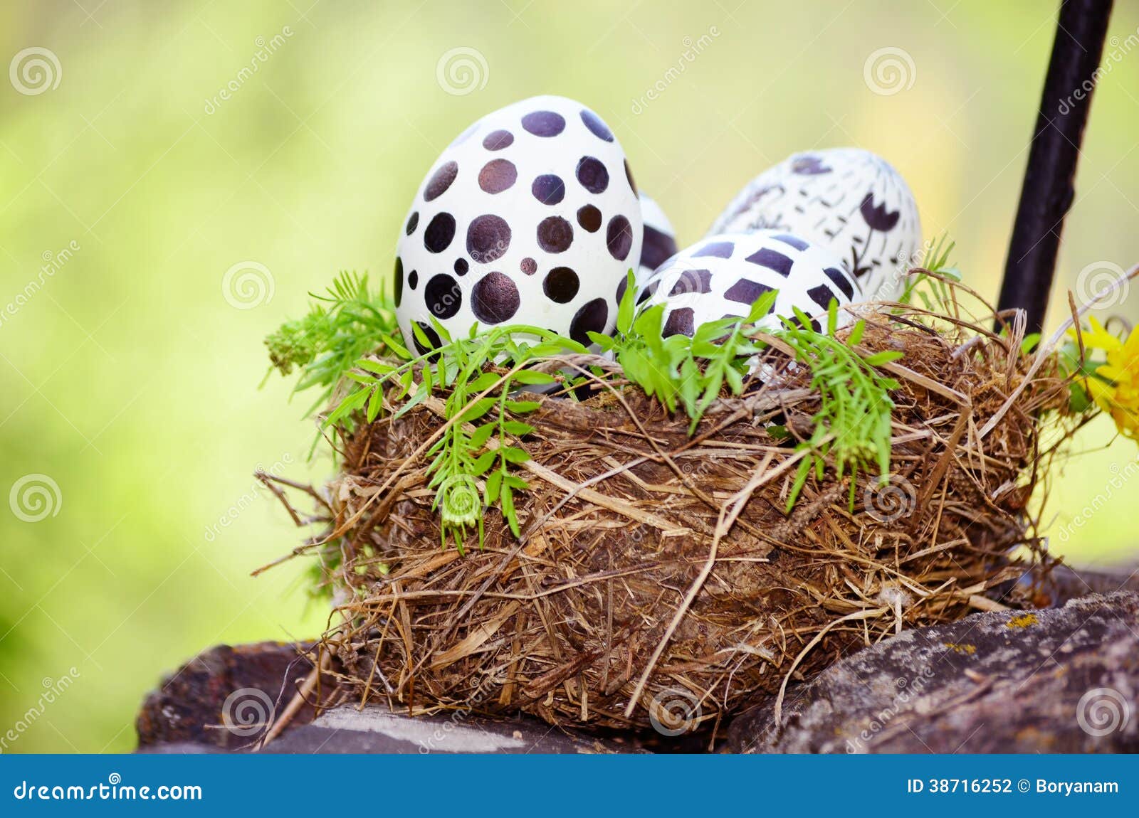 Easter eggs in real nest stock photo. Image of seasonal - 38716252