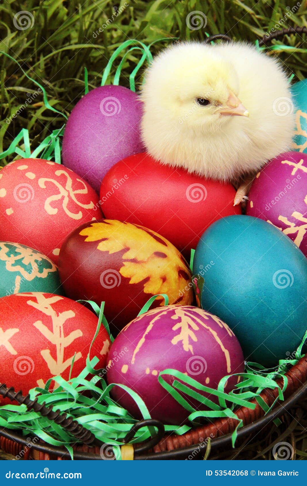 Easter Eggs with a Small Chicken Stock Photo - Image of nest ...