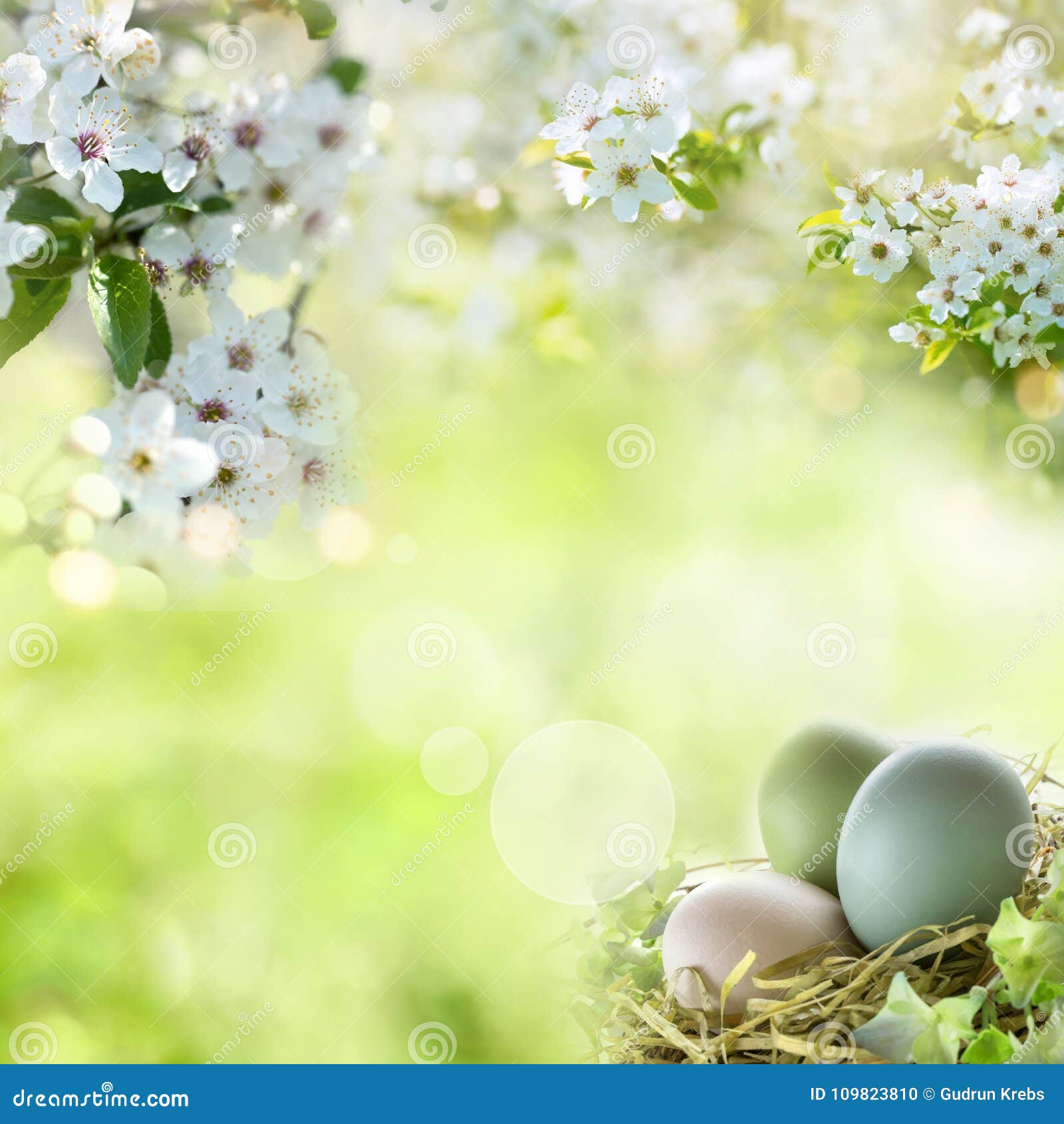 Easter Eggs with Spring Blossoms Stock Photo - Image of plants, easter ...