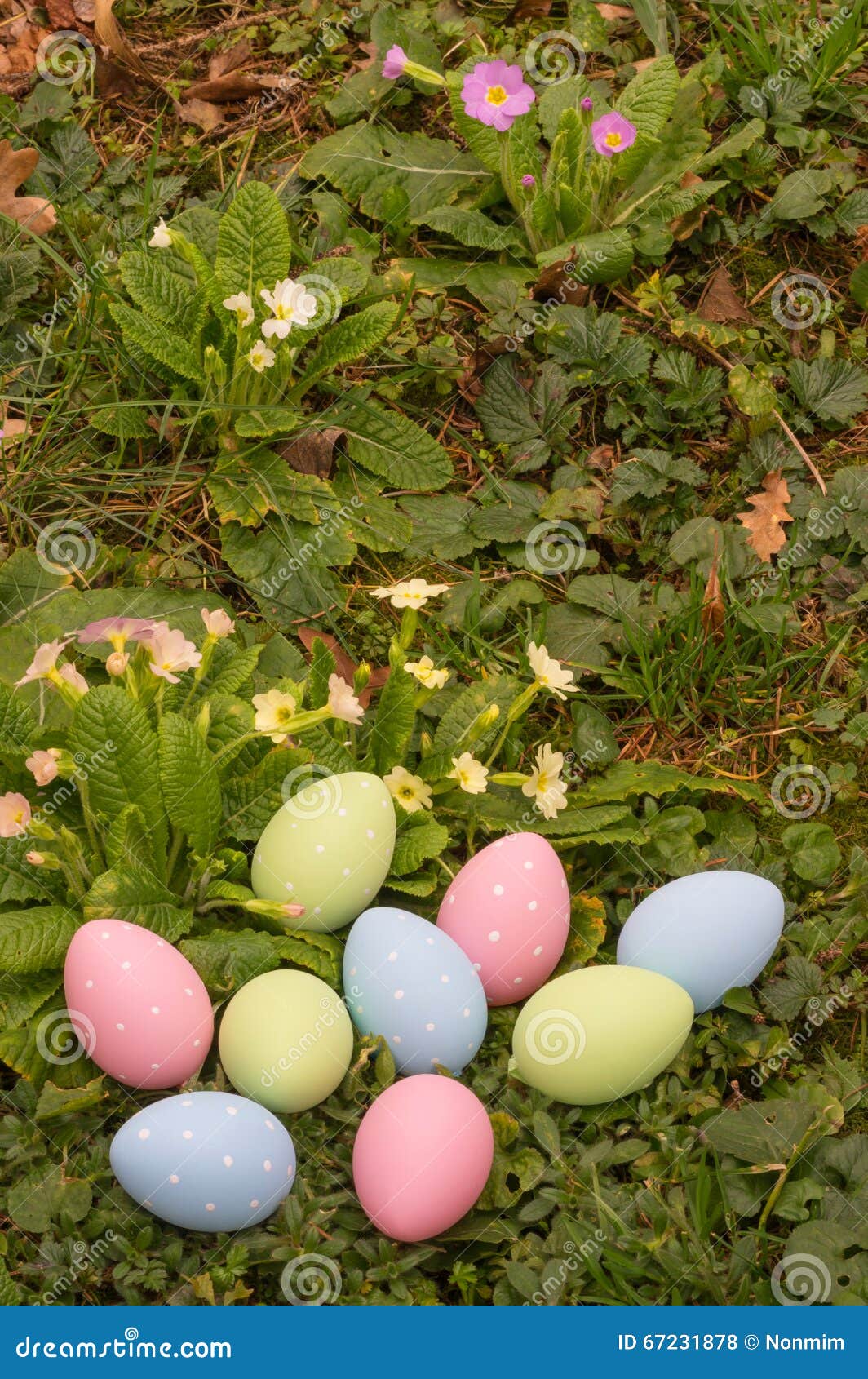 Easter Eggs on Spring Flowers Field Stock Photo - Image of celebration ...