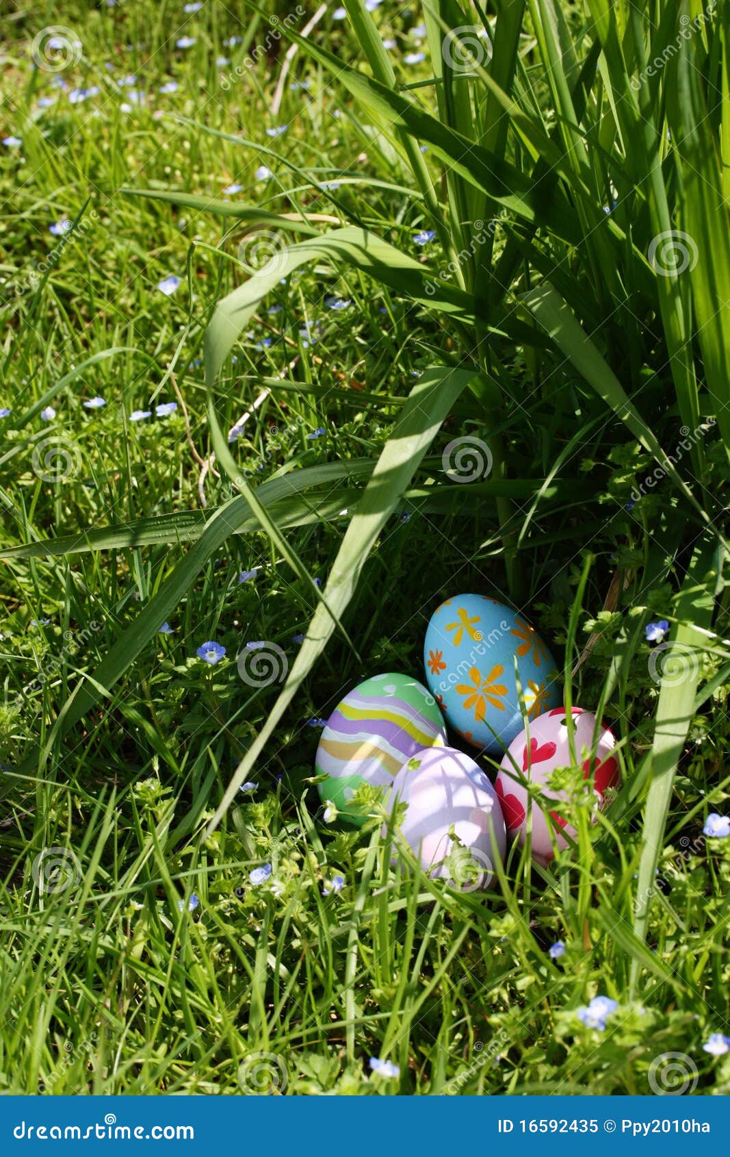 Easter Eggs in Spring Grass Stock Image - Image of hiding, greeting ...