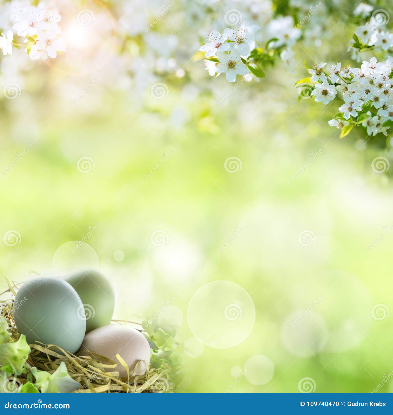 Easter eggs in spring stock photo. Image of grass, greetings - 109740470