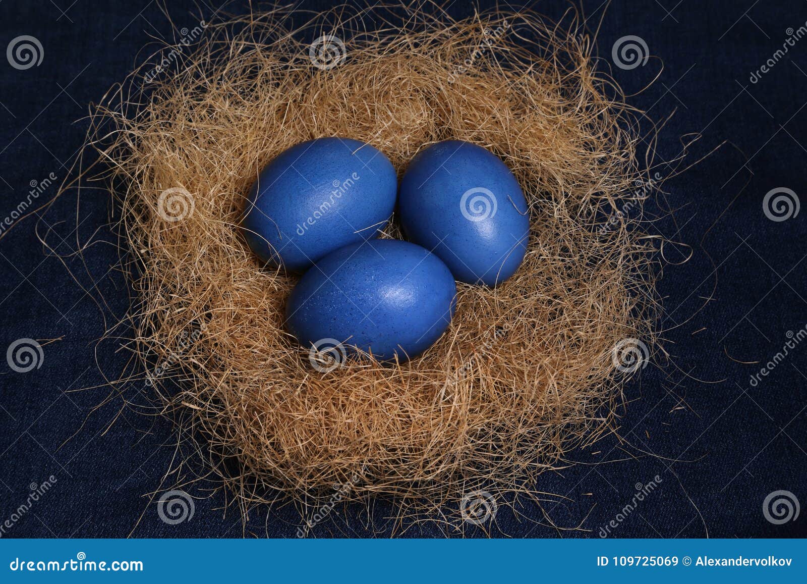 Blue Egg In The Nest Stock Photography | CartoonDealer.com #191597666