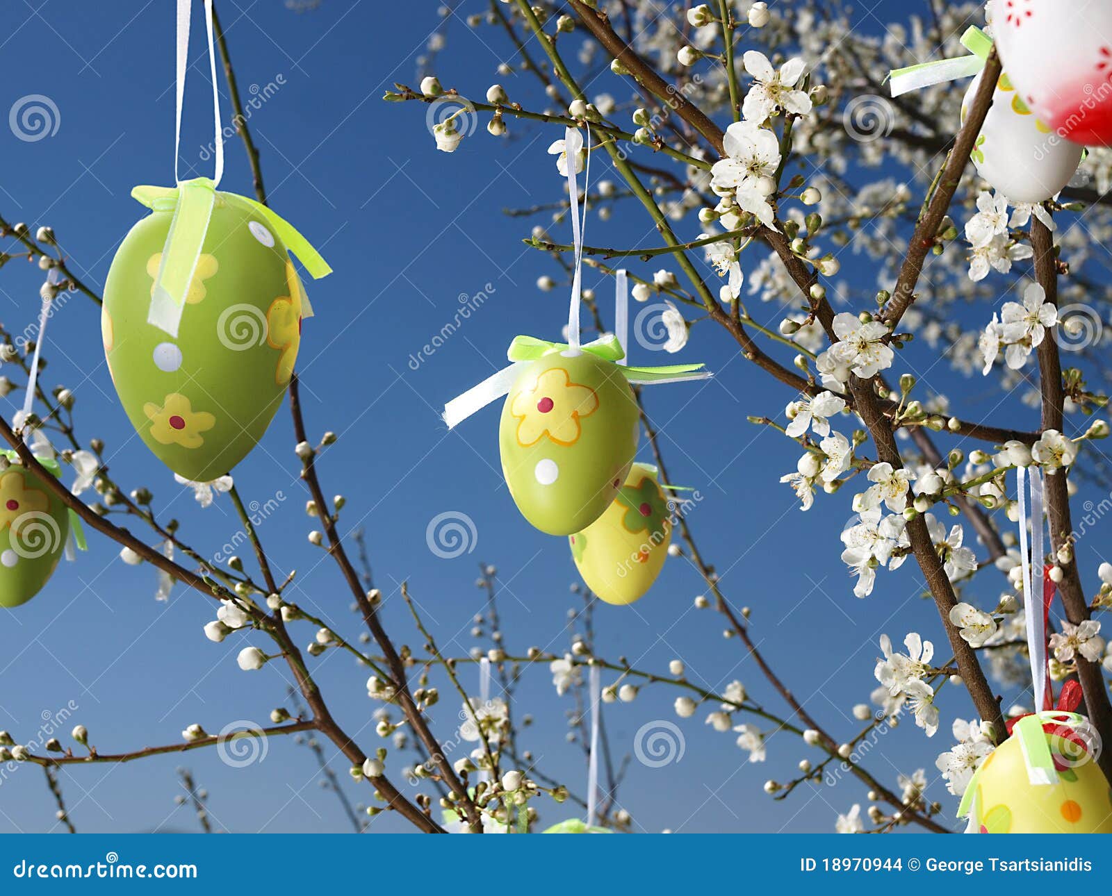 Easter eggs on tree stock photo. Image of card, decorate - 18970944