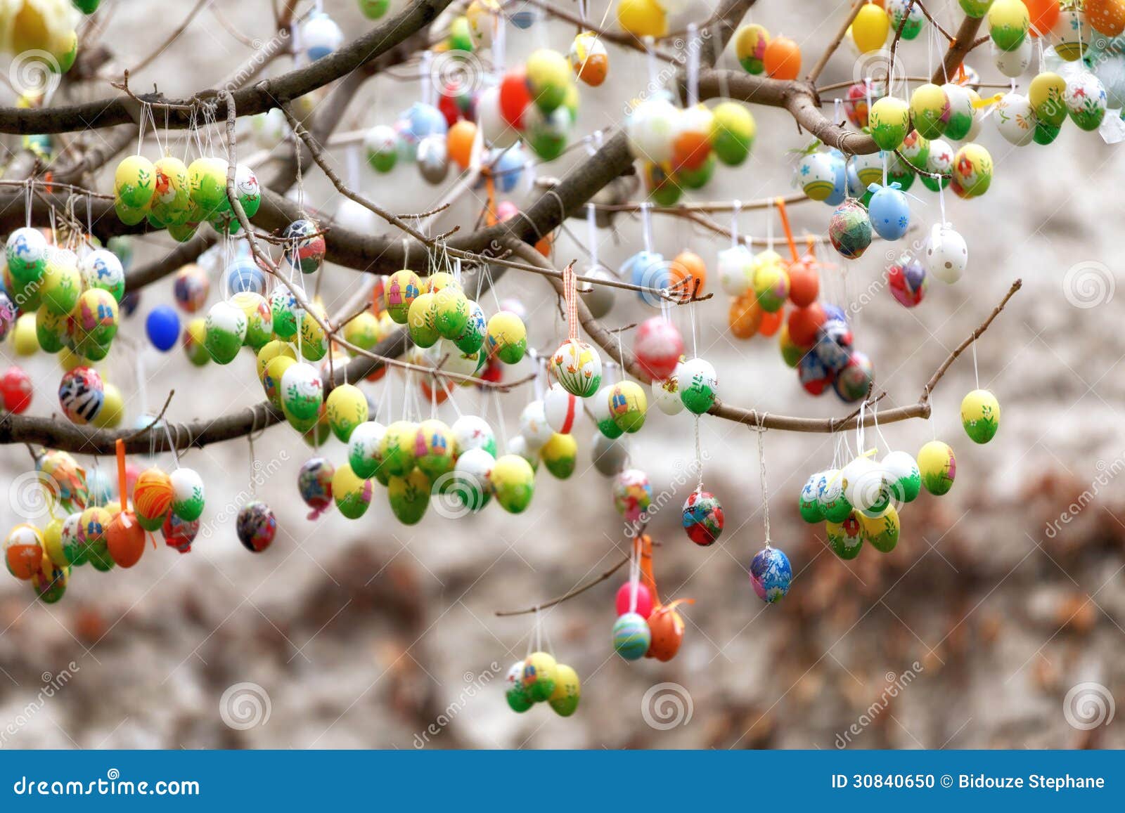 Easter eggs on tree stock photo. Image of branches, group - 30840650